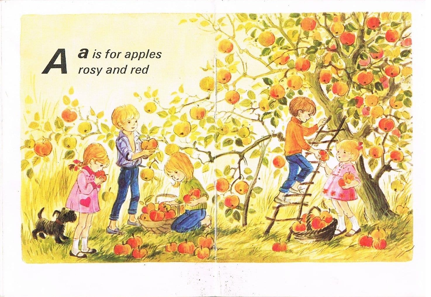 First ABC illustrated by Brenda Meredith Seymour