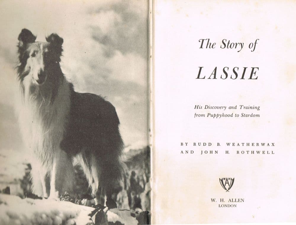 The Story of Lassie His Discovery and Training from Puppyhood to ...