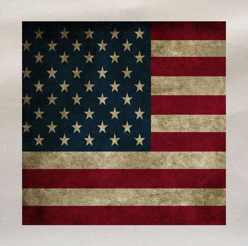 America Flag Fabric