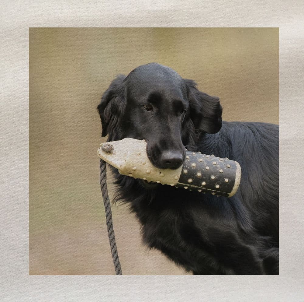 Black Retriever Dog Dummy Toy Photography Fabric Panel