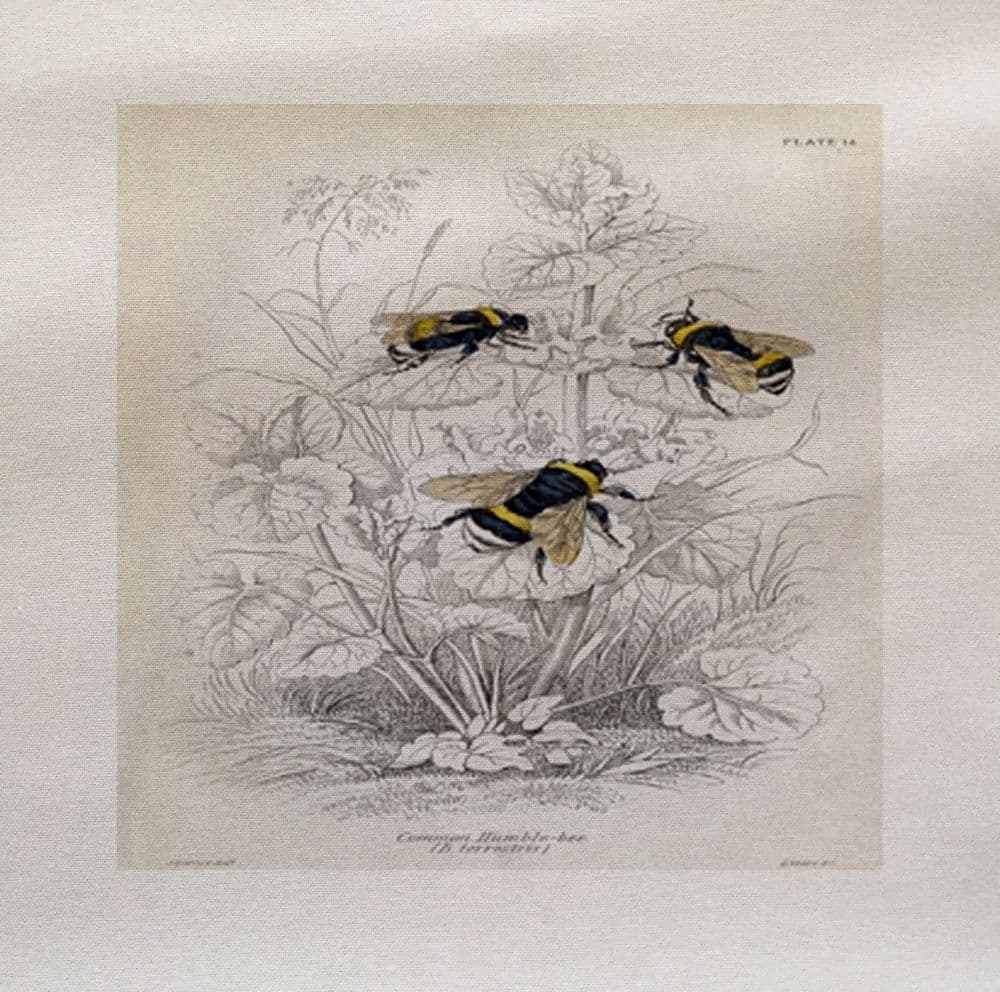 Bumble Bees Flying Insect Fabric Panel