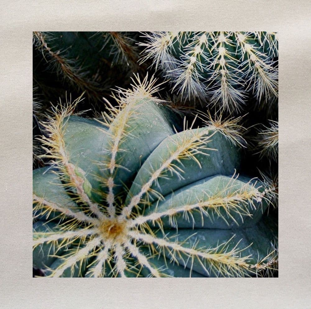 Cactus Cacti Succulent Photography Fabric Panel
