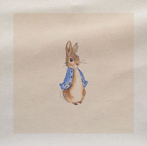 Peter Rabbit Jacket Nursery Printed Fabric Panel
