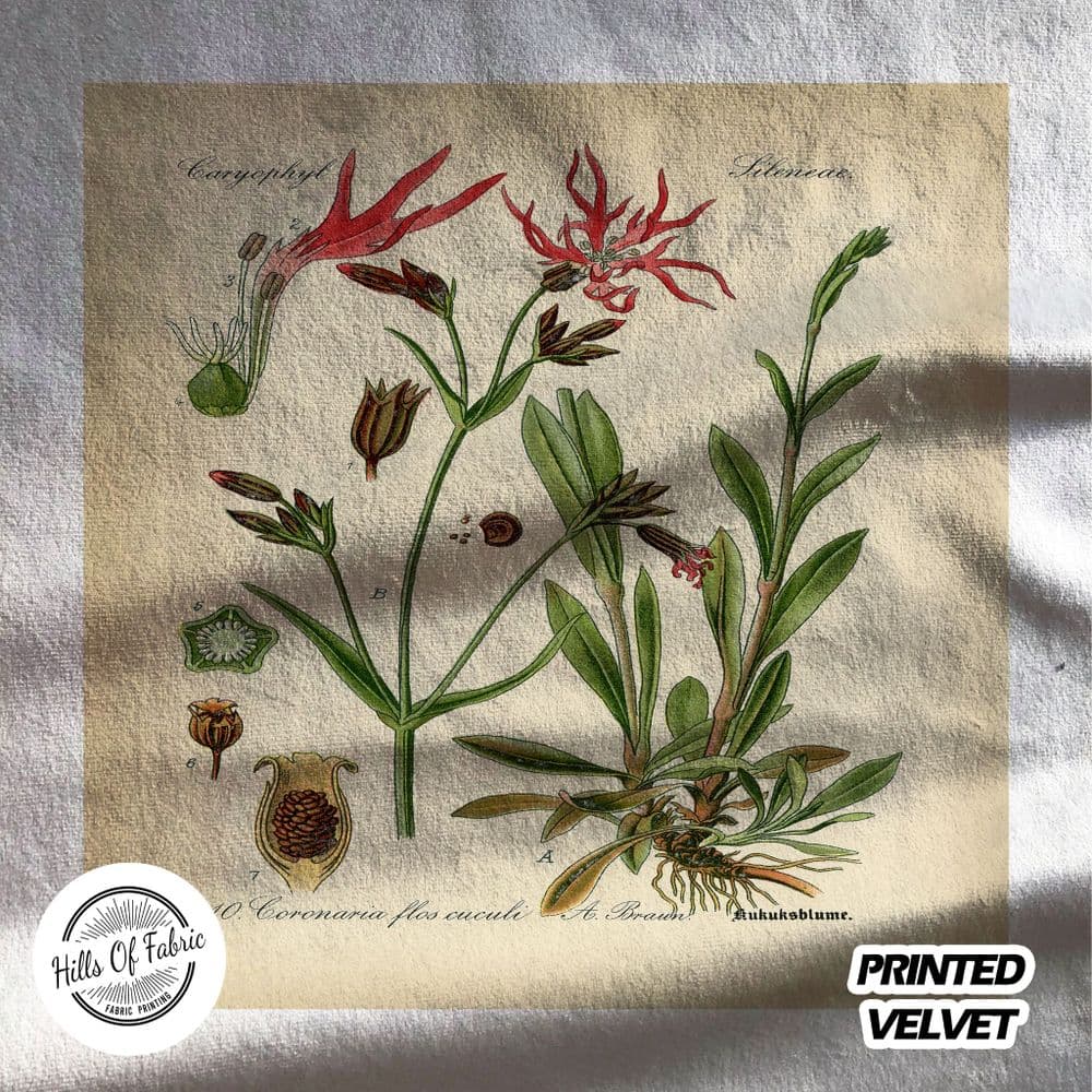 raggedd robin botany illustration graphics printed fabric pannel