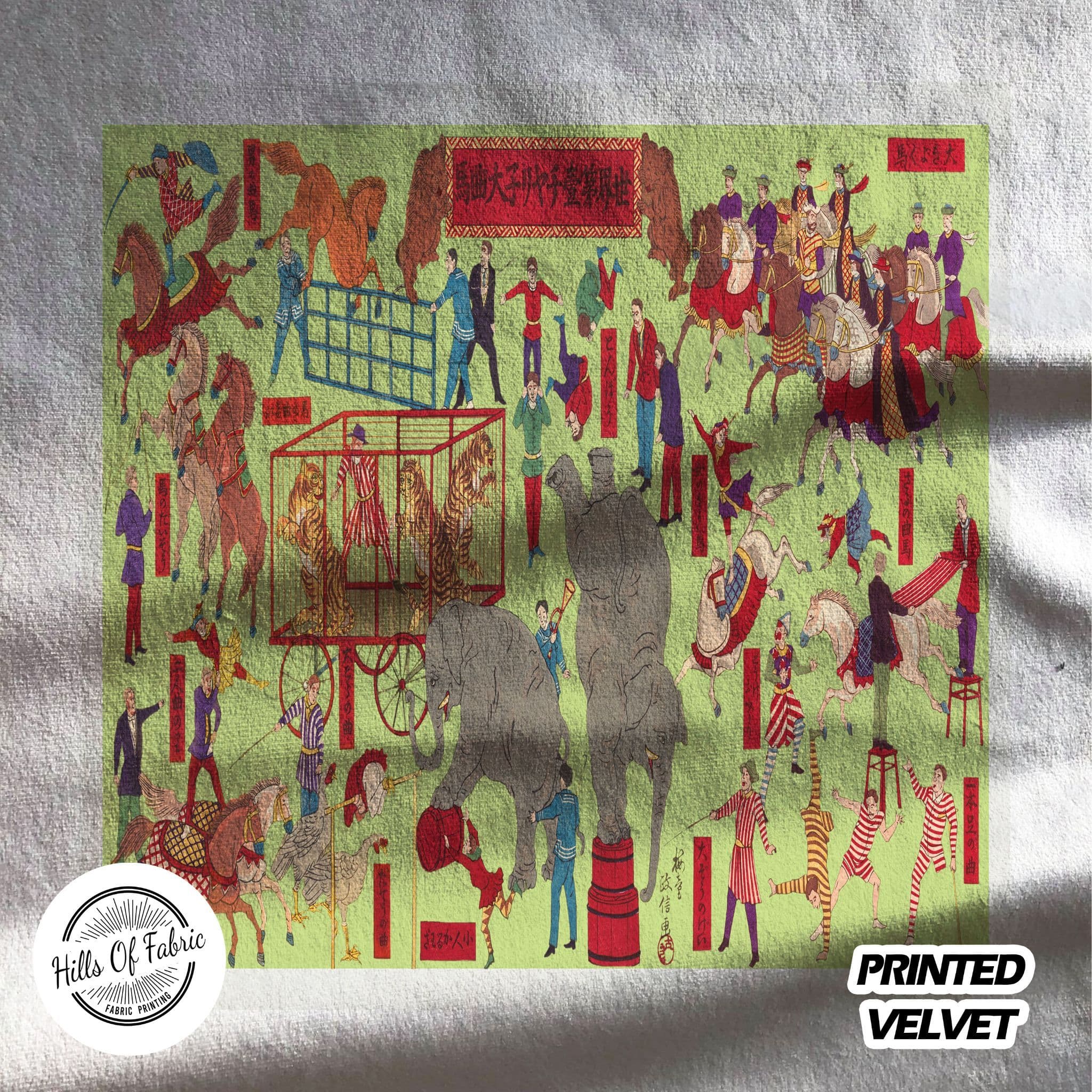 Vintage Circus ground - Printed Fabric Panel
