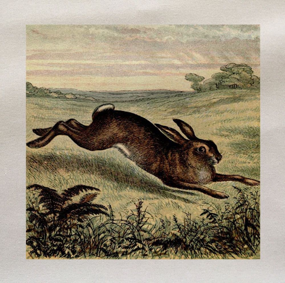 Vintage Hare running Printed Fabric Panel