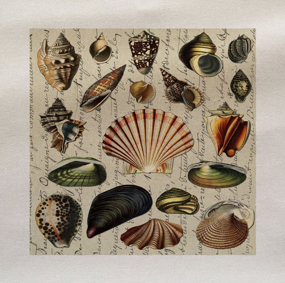Vintage sea shells Printed Fabric Panel