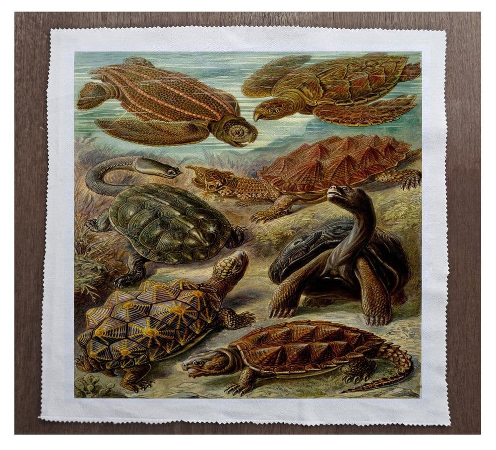 Vintage Turtle Tortoise Sea Ocean Ernst Haeckel Printed Fabric Panel