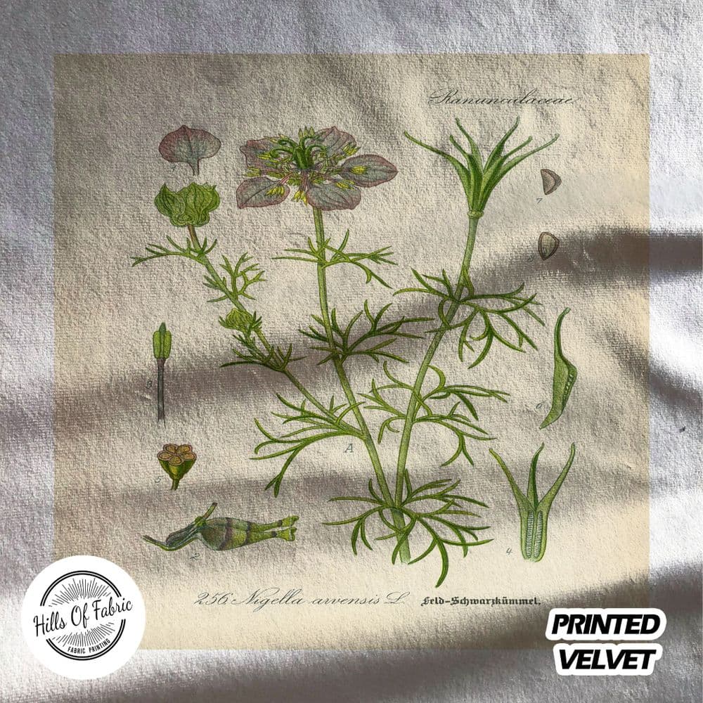 Wild fennel botany illustration graphics printed fabric pannel