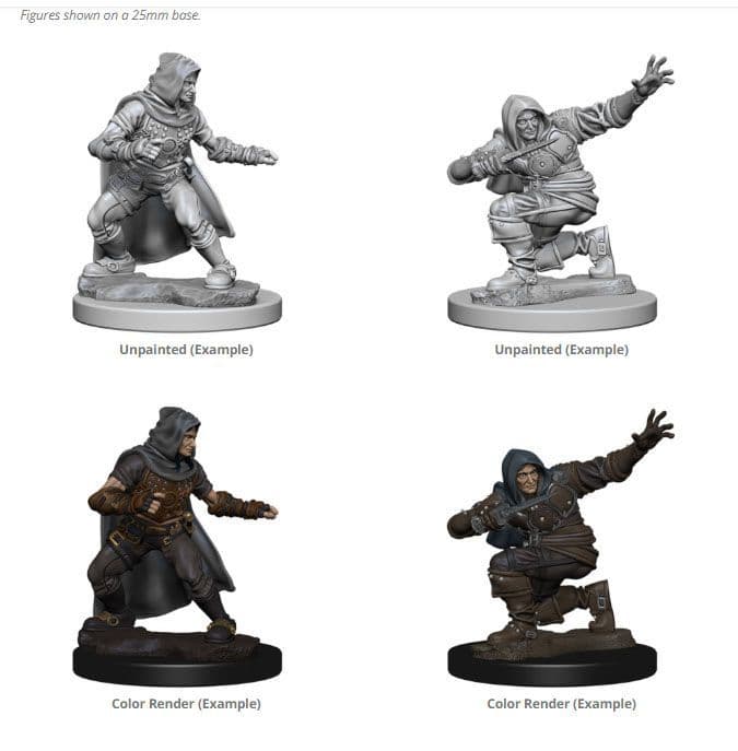 Rogue Pathfinder Male Knitt, Halfling Rogue | Ascension 5E Wiki