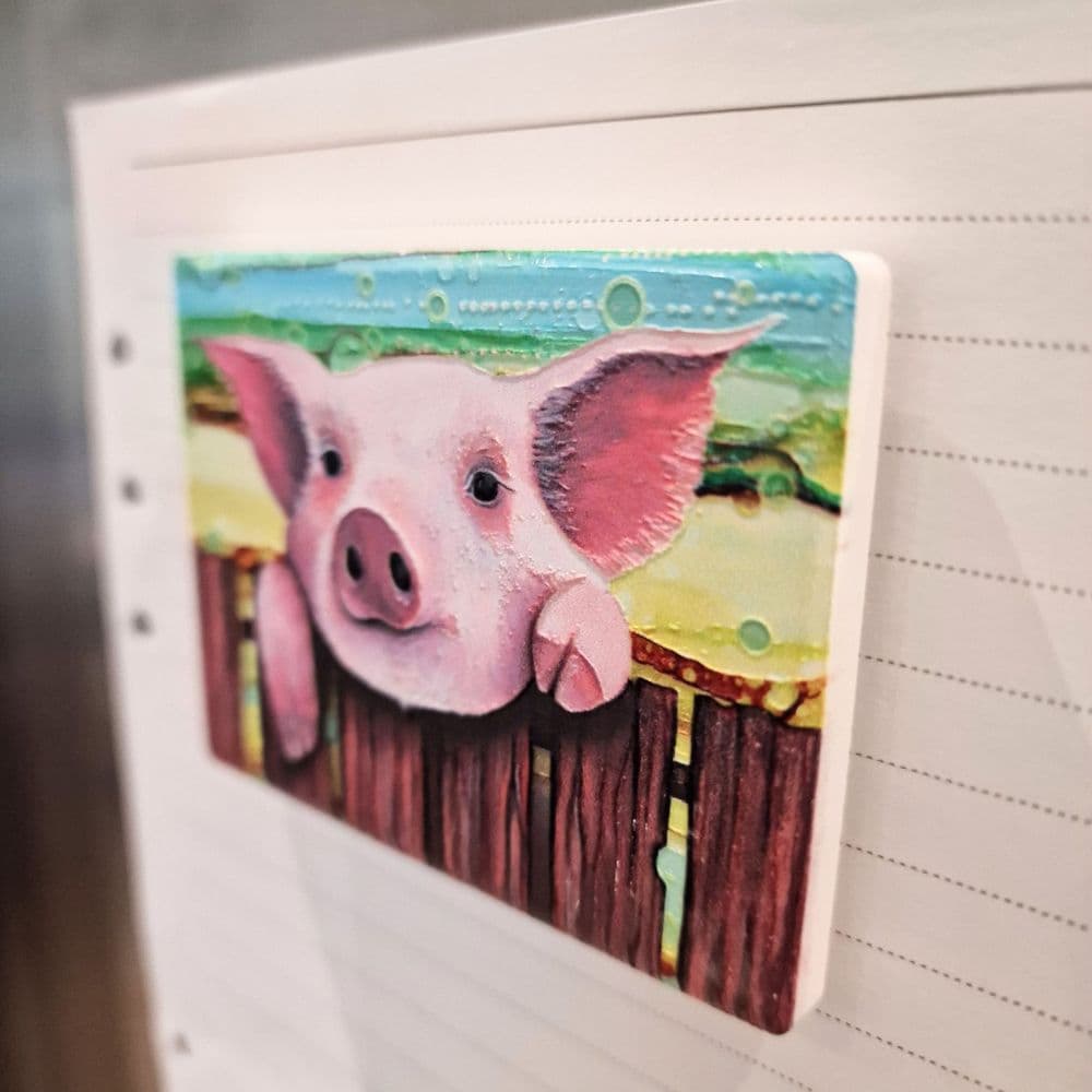 Pig Magnet