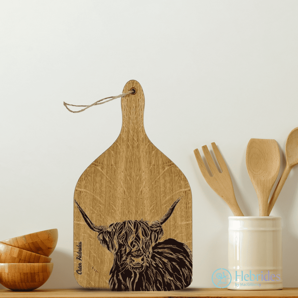 Highland cow paddle board