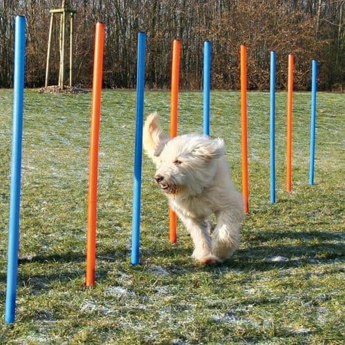 Trixie Dog Agility Weave Poles 115cm Tall with Ground Spike
