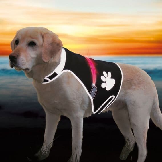 Flashing Dog Coat Waistcoat | Reflective with LED lights