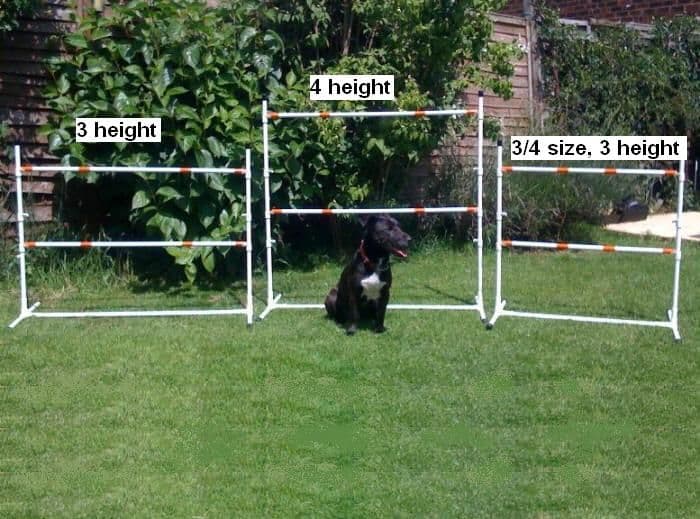 Jesse jump Deluxe Fixed Jump agility