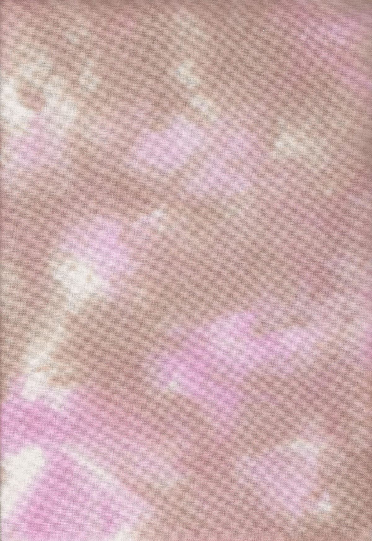 Dusky Rose