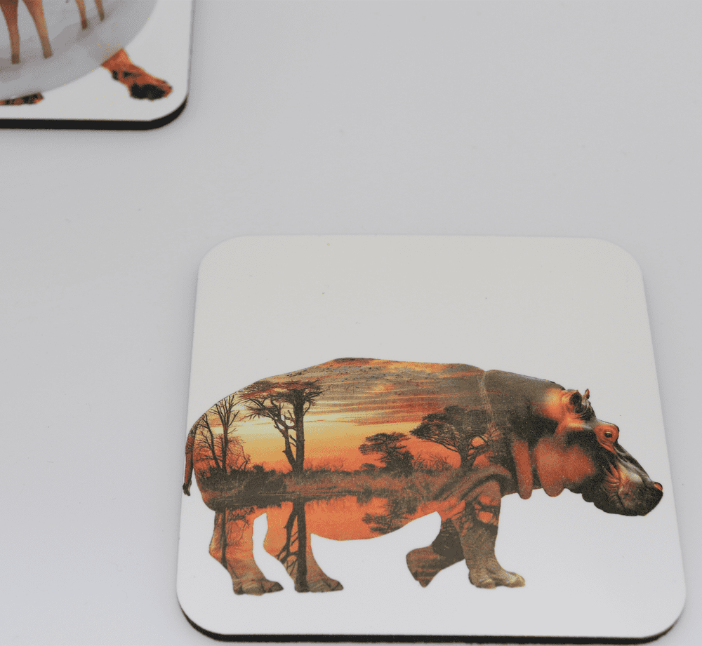 Hippo Habitat Exposure Coaster - Stunning Double Exposure Design | Made ...