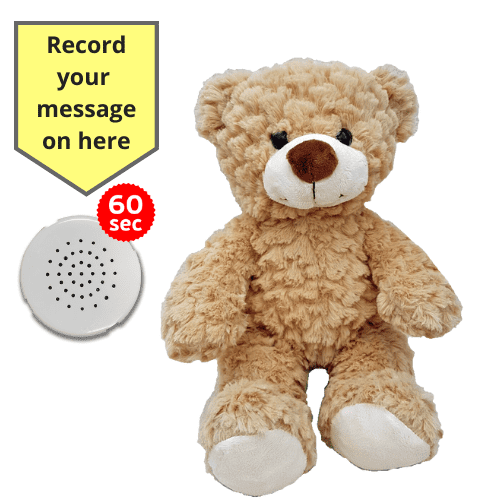 10 inch Brown Toffee Teddy - Recordable Bear - Baby Heartbeat Bear