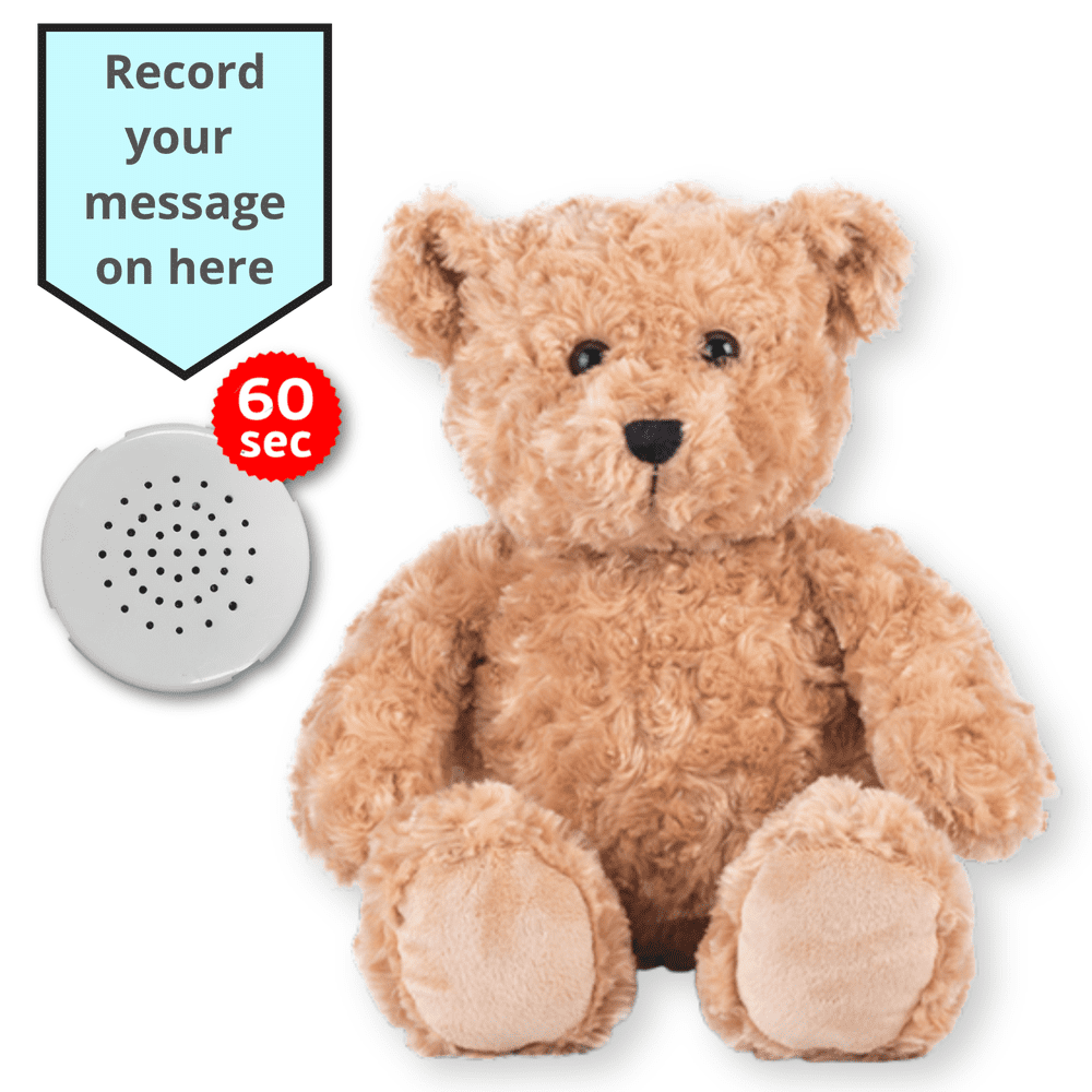 16 inch Brown Classic Teddy - Voice Recording Teddy Bear