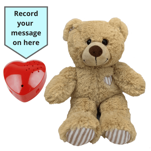 16 inch Brown Cuddles Teddy - Voice Recording Teddy Bear