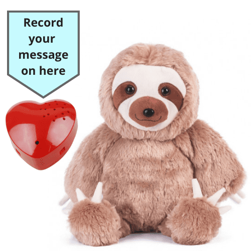 16 inch Sloth - Voice Recording Teddy Bear