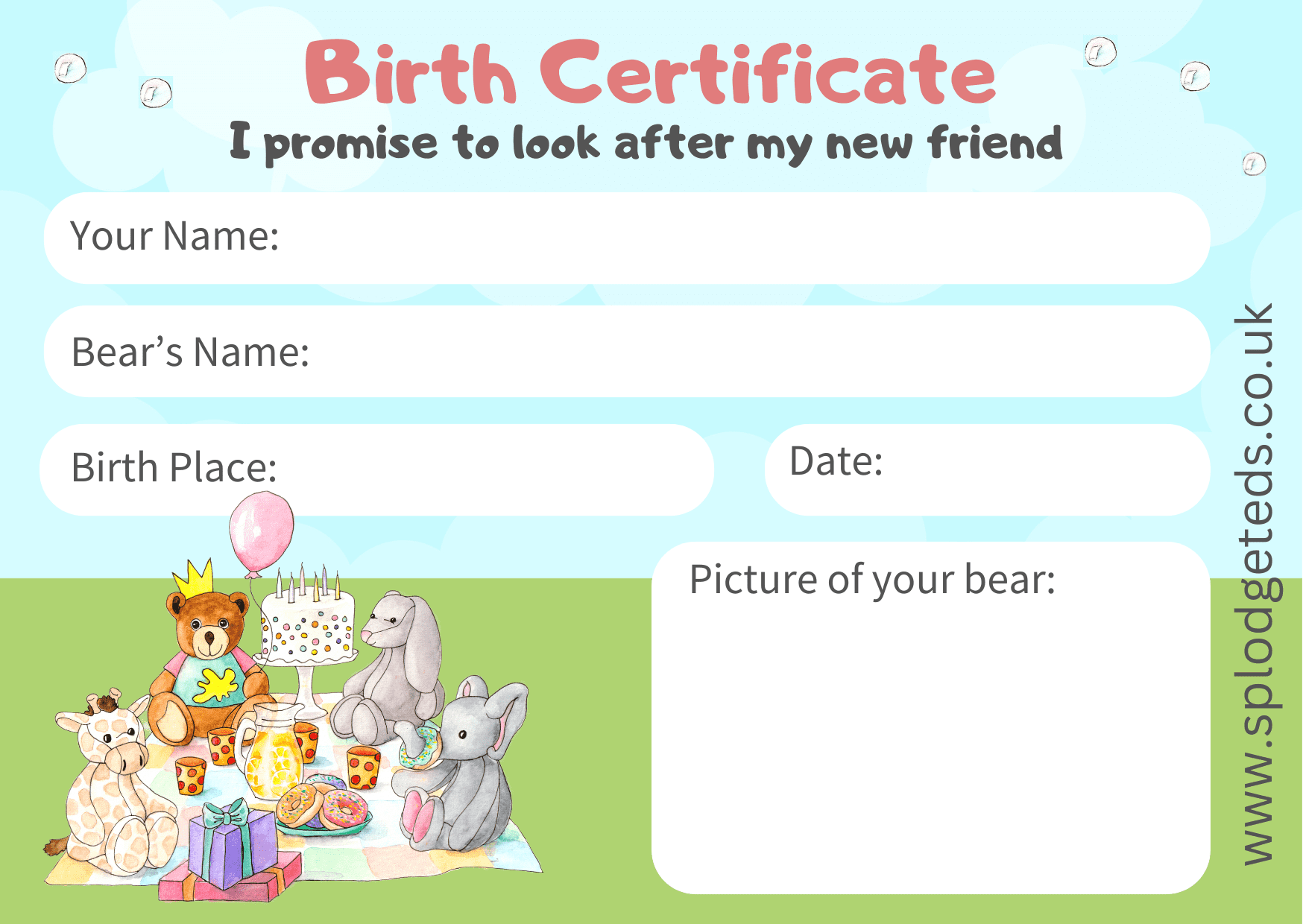 New Baby Birth Certificate 10 Child Birth Certificate Template