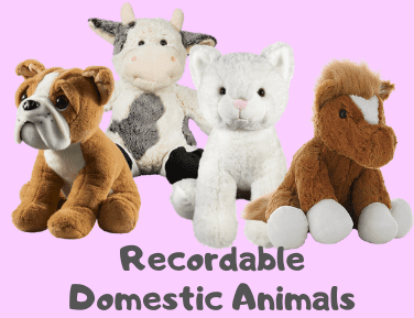 Splodge Teddy Parties - Build your own Teddy Bear Making Parties