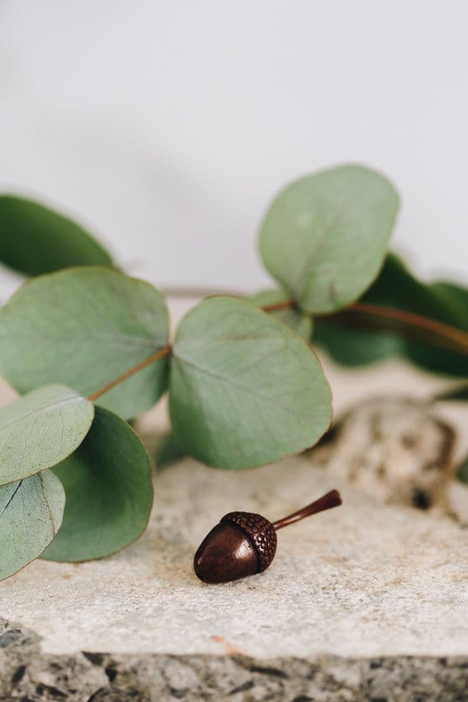 David Meredith Sculptor | Miniature Bronze Acorn Sculpture | Bronze ...