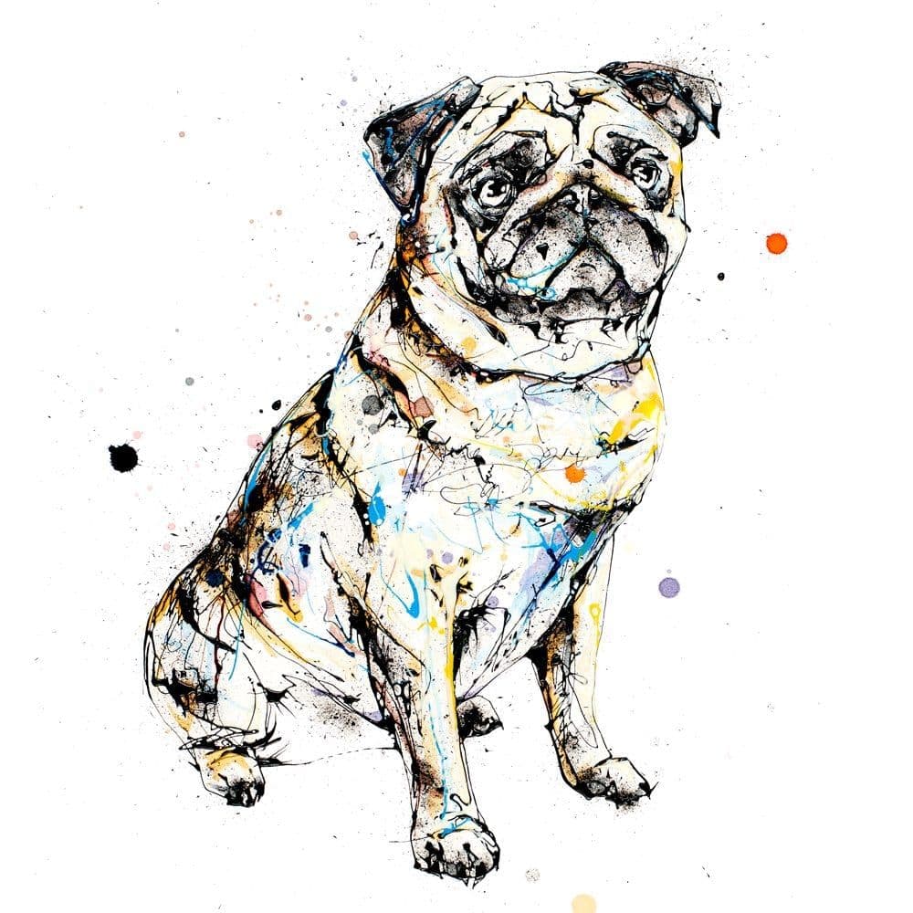 Kathryn Callaghan Artist | Anticipation Pug Print | KC Fine Art ...