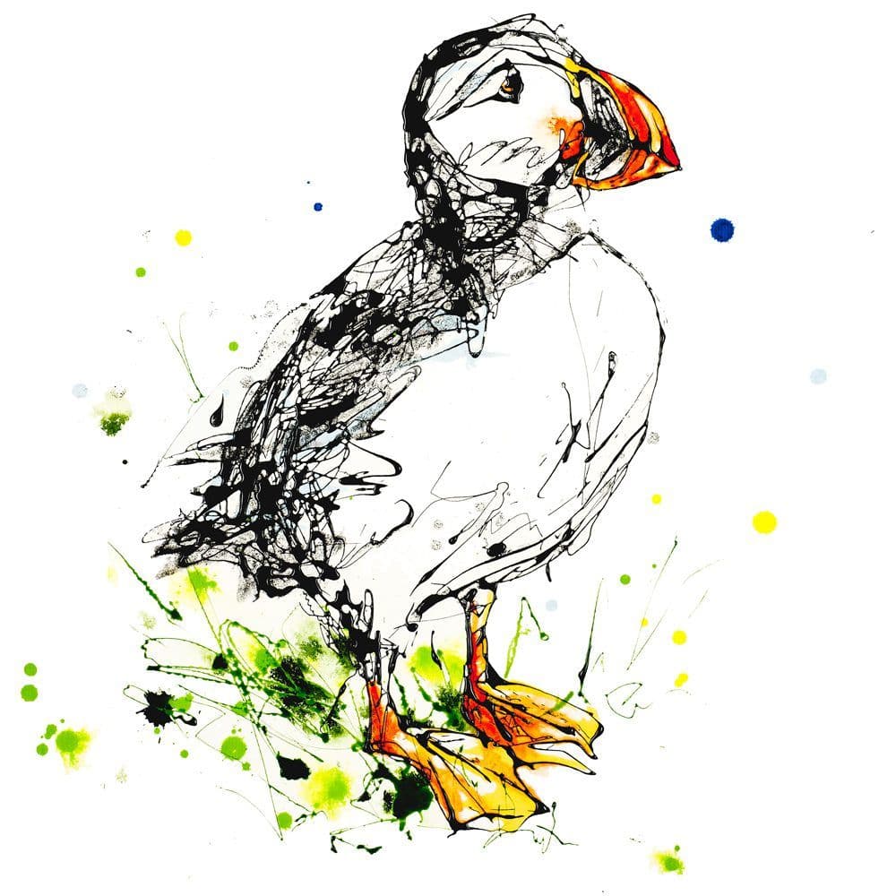 Kathryn Callaghan Artist | Atlantic Puffin Bird Print | KC Fine Art ...