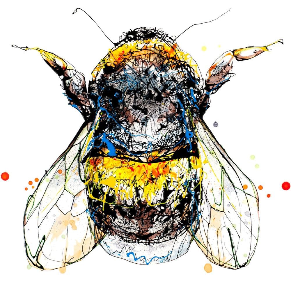 Kathryn Callaghan Artist | Buzz bumble Bee Print | KC Fine Art ...