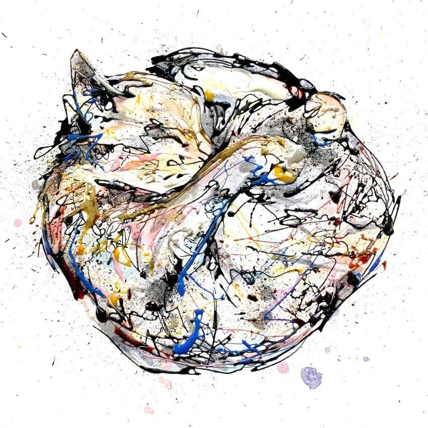 Kathryn Callaghan Artist | Catnap Sleeping Cat Print | KC Fine Art ...