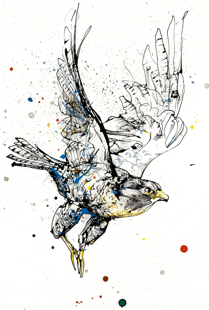 Kathryn Callaghan Artist | Focus Falcon Original Painting | KC Fine Art ...