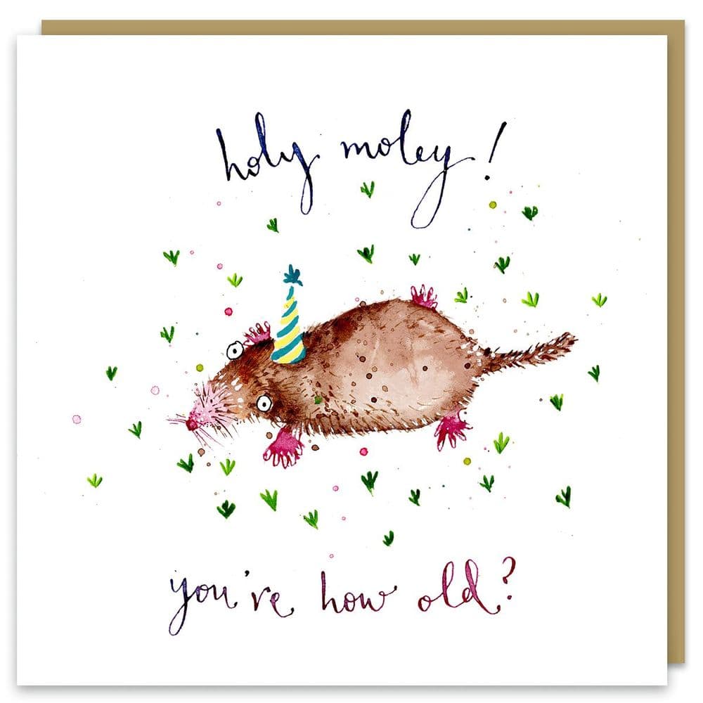 Louise Mulgrew Illustrated Cards | Holy Moley! You're How Old? Birthday ...