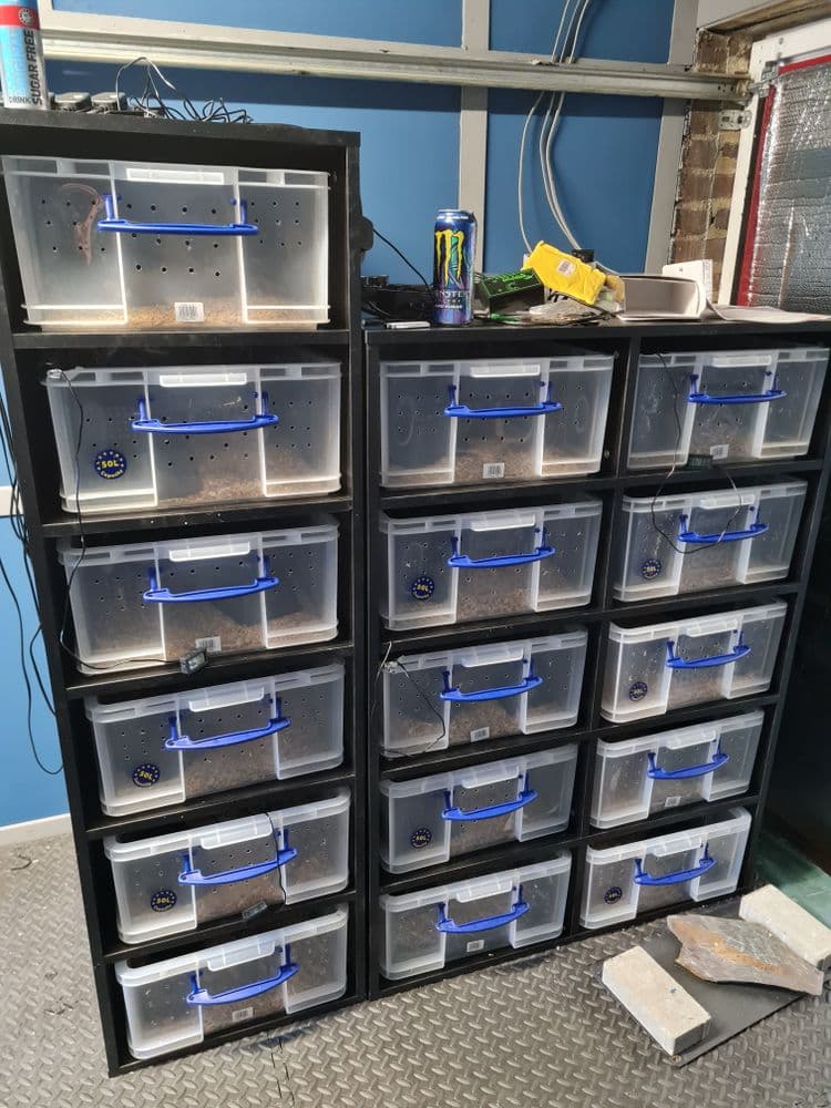 Rub Rack For 50 litre Really Useful Boxes fully loaded with heating ...