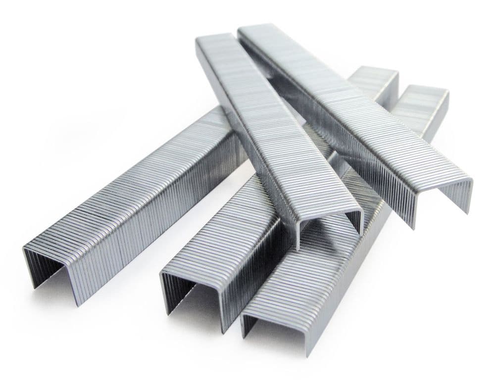 Maestri 53/8mm Galvanised Fine Wire Staples 5 000