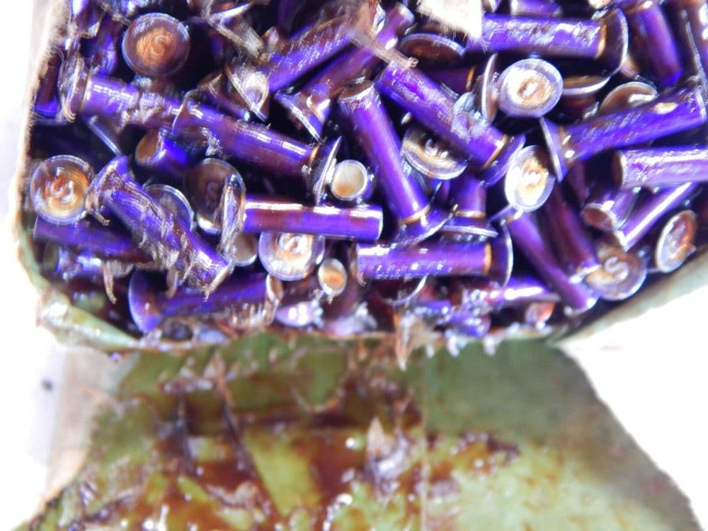 4oz CSK Solid Aircraft Rivets Violet 1/8" Diam 1/2" Long AS2229-408 GR6B-5