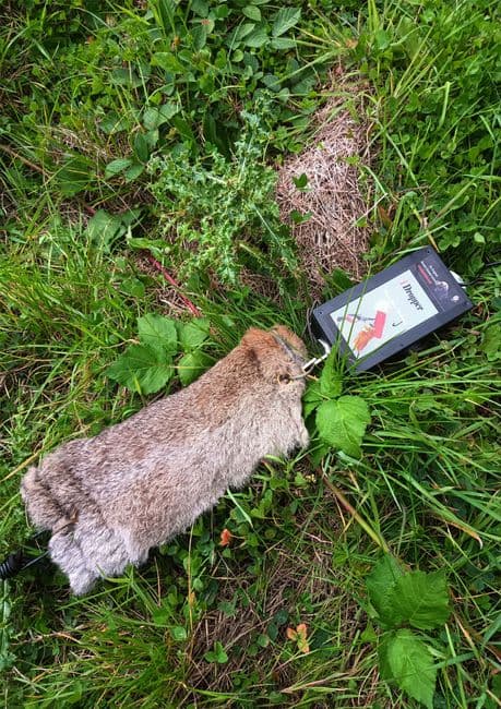 Rabbit Distraction kit