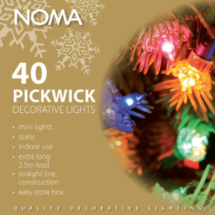 Garden and Christmas Lights