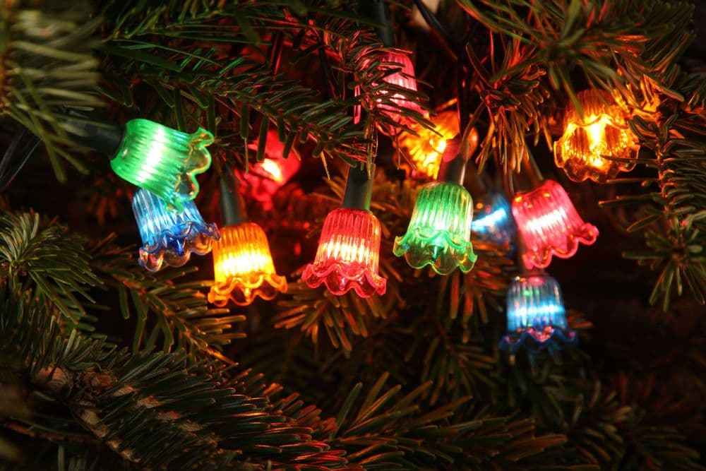 40 Multicolour Classic Style LED Canterbury Bells Traditional Fairy ...