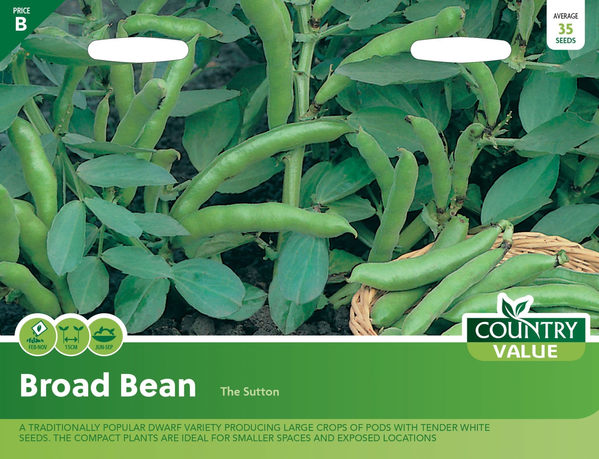 Broad Bean The Sutton