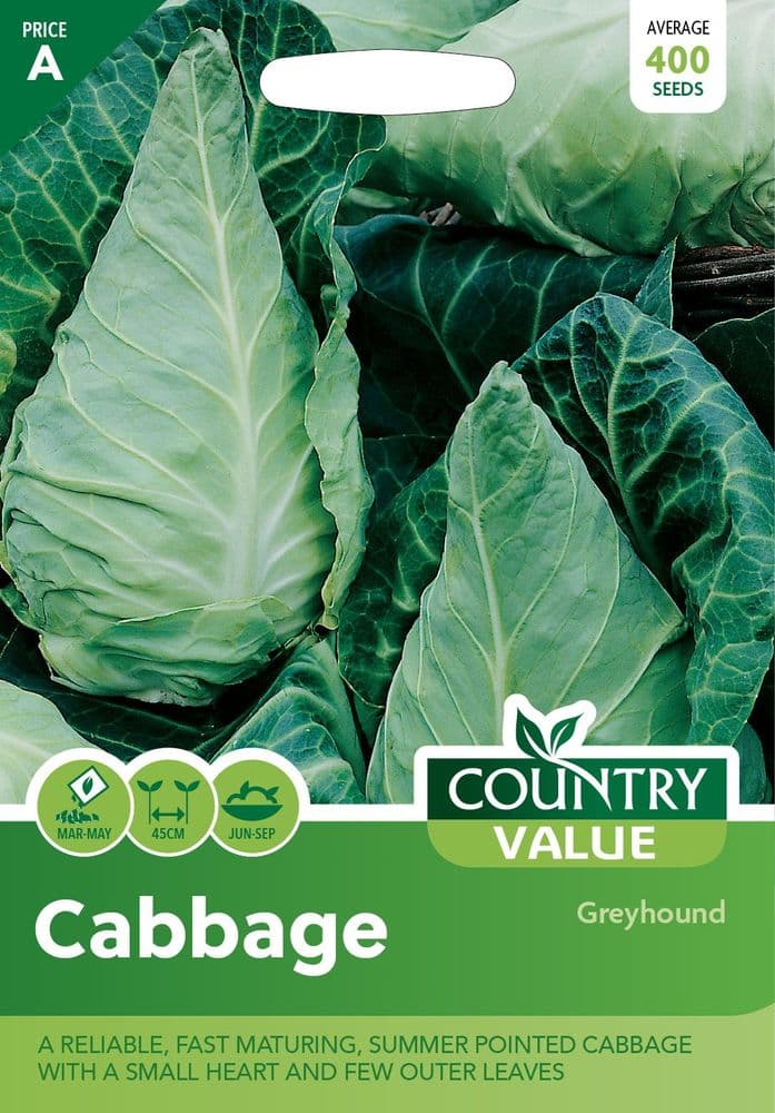 Cabbage Greyhound