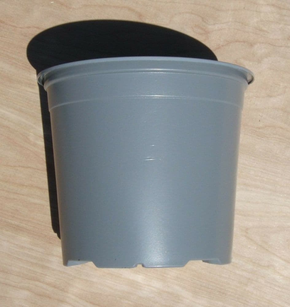 Choose Your Quantity 2 Litre Grey Plant Pots
