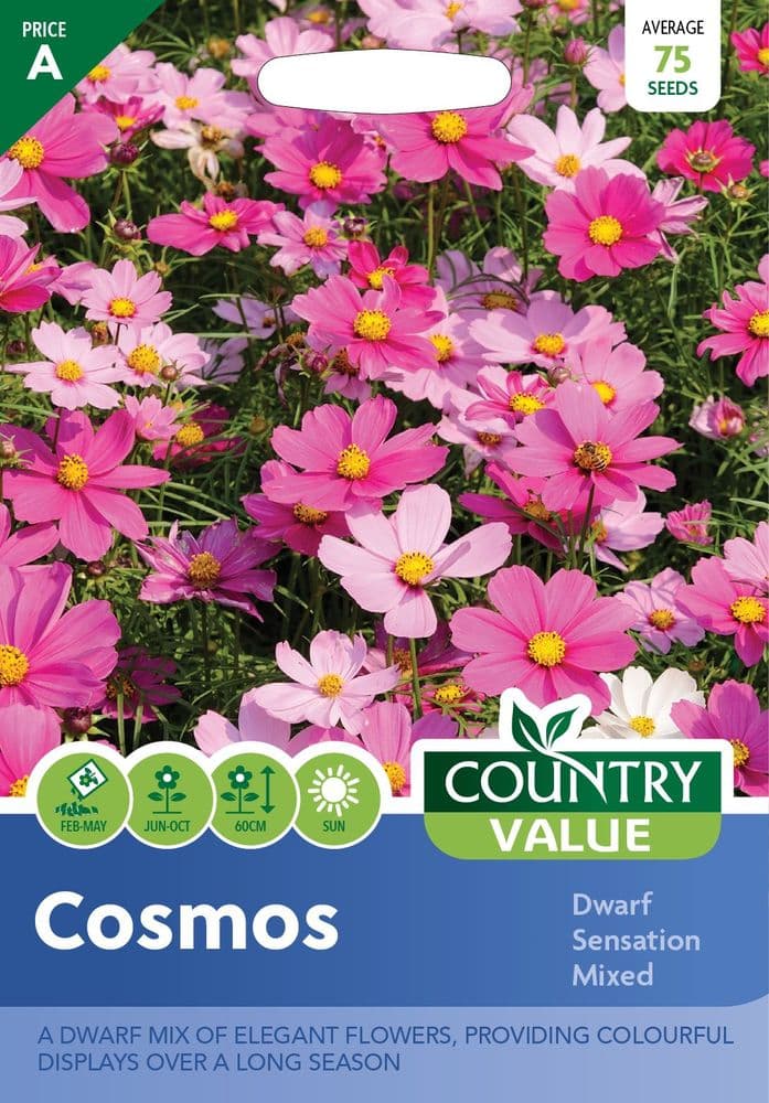 Cosmos Dwarf Sensation Mixed