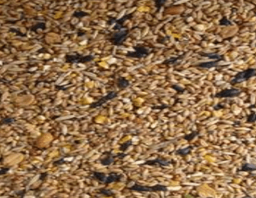 Dobby Special Wild Bird Mix 1kg bag