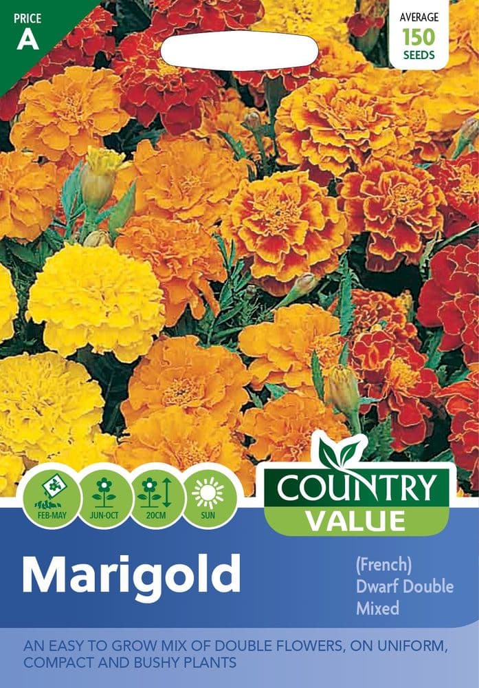 Marigold French Dwarf Double Mixed