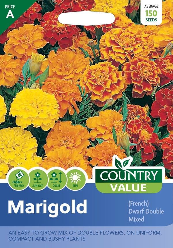 Marigold French Dwarf Double Mixed