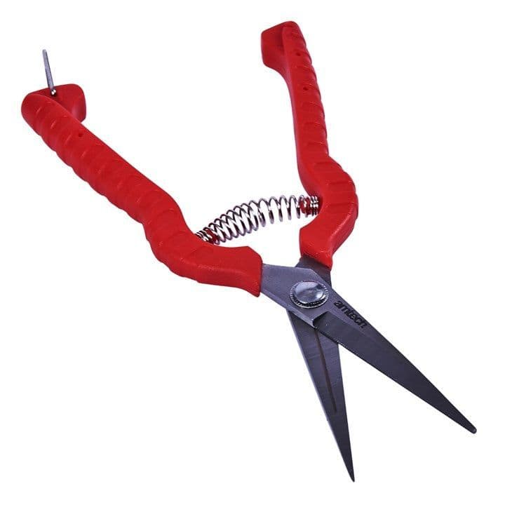 Precision secateurs - stainless steel by Amtech Tools