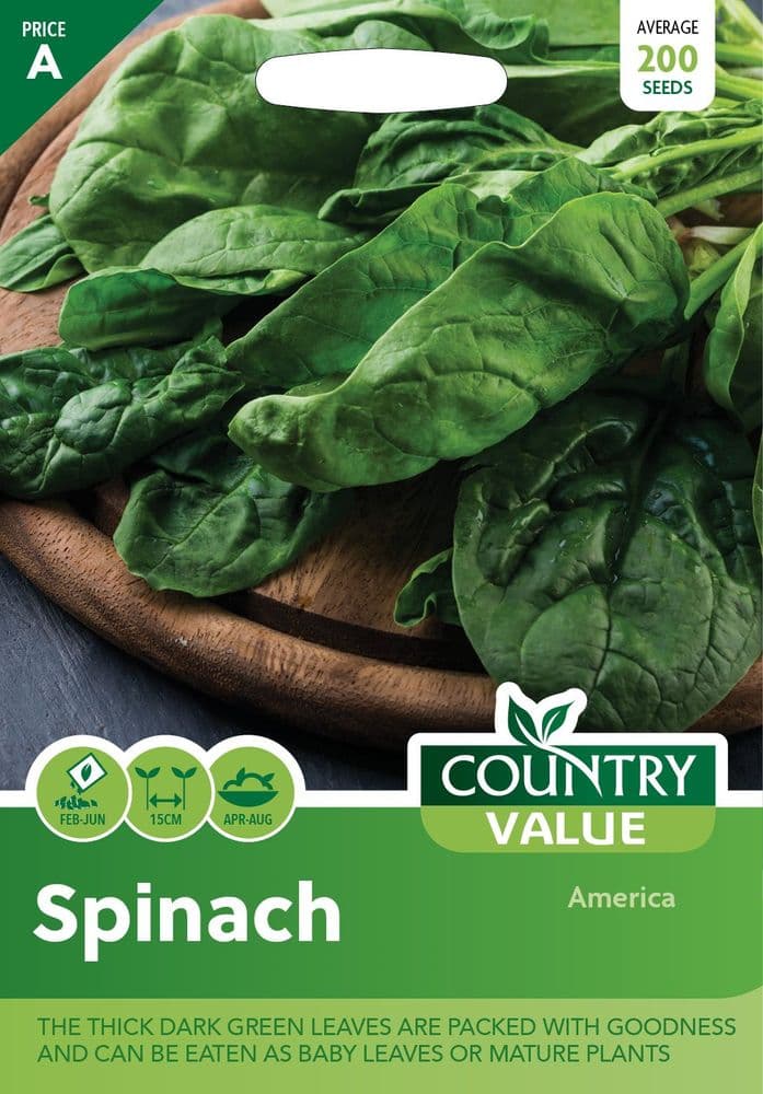 Spinach America