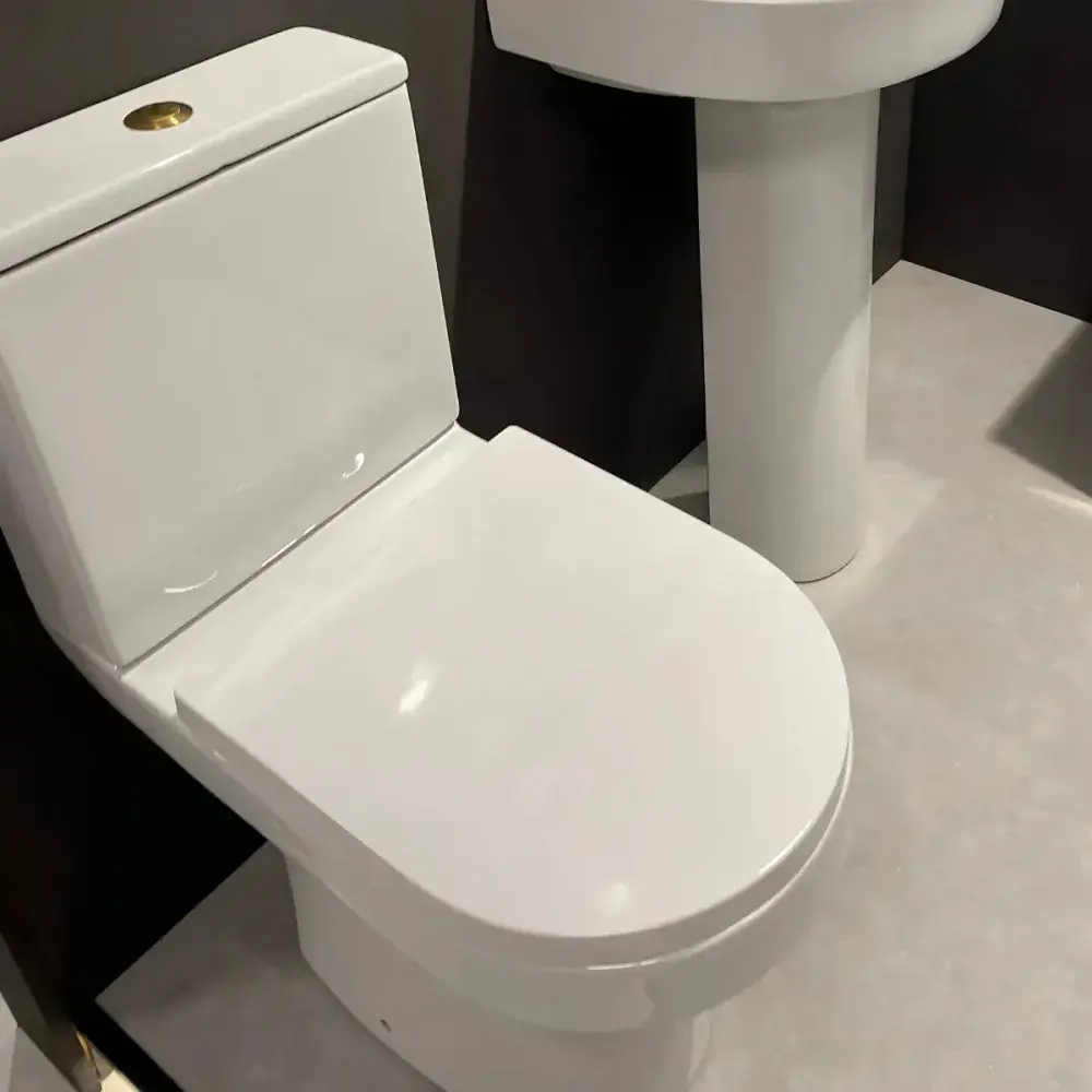 Dura Close Coupled Back To Wall Eco Vortex Toilet and Soft Close Seat ...